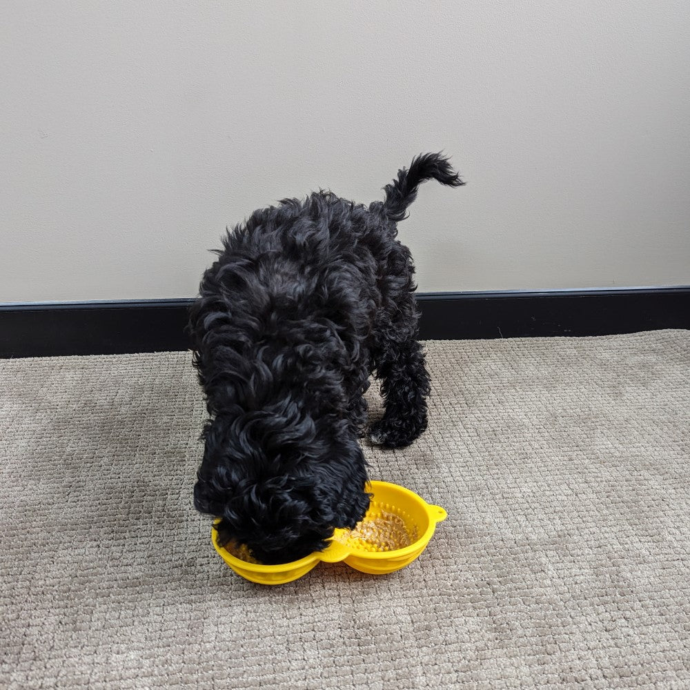 All For Paws Calming Pals Peanut Shake - Zach's Pet Shop