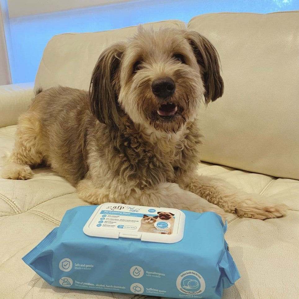 All For Paws Pet Salon Pet Grooming Wipes - Zach's Pet Shop